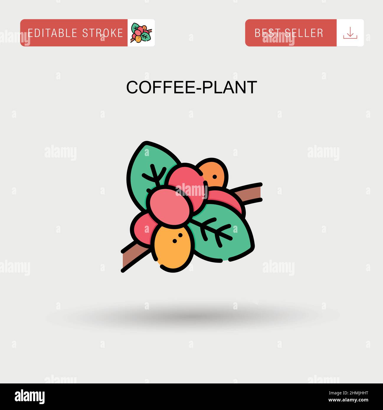 Coffee bean leaf isolated Stock Vector Images - Alamy