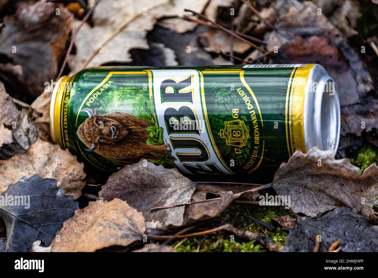 beer can in the forest Stock Photo - Alamy