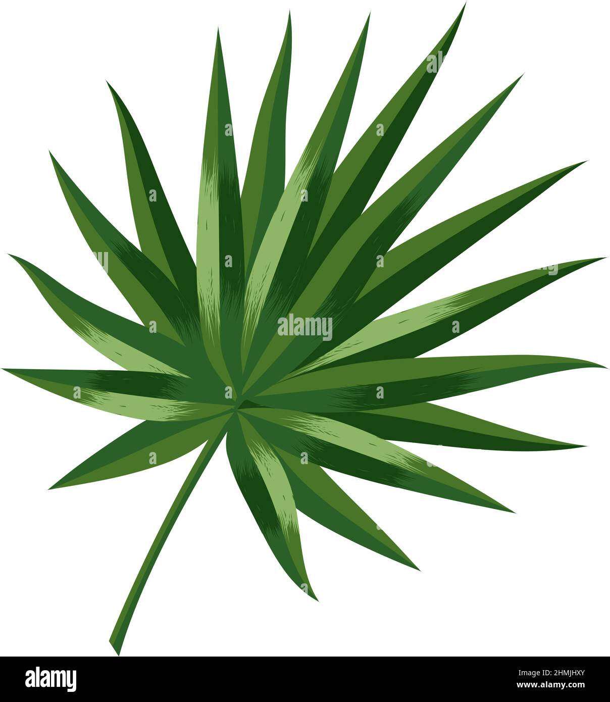 Fan leaf tree hi-res stock photography and images - Alamy