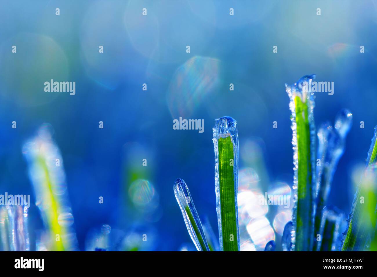 Beautiful snow on crops hi-res stock photography and images - Alamy