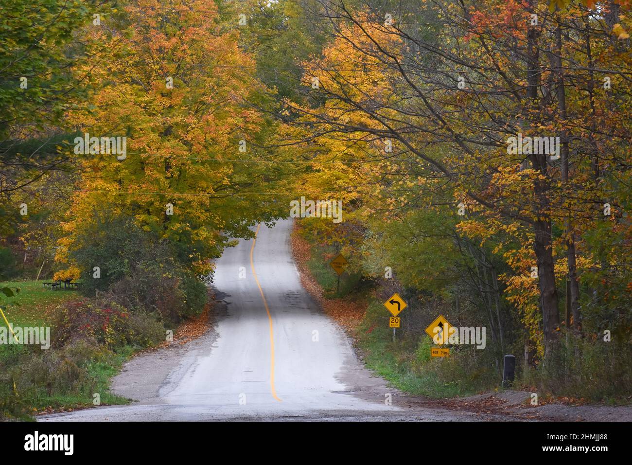 Road in the forest - fall colors Stock Photo - Alamy