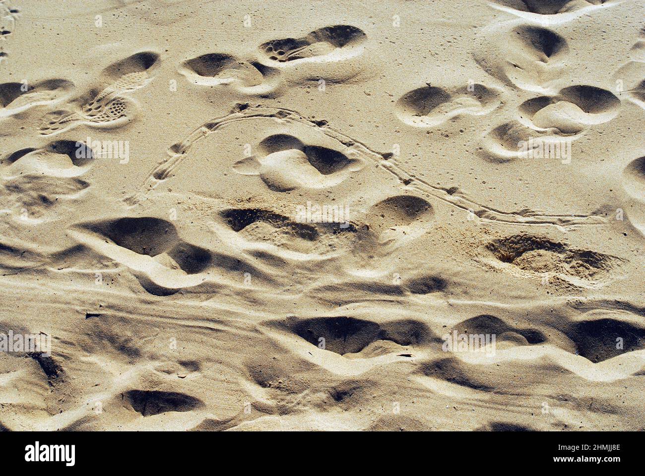 footprint on the beach sand texture bacground Stock Photo - Alamy