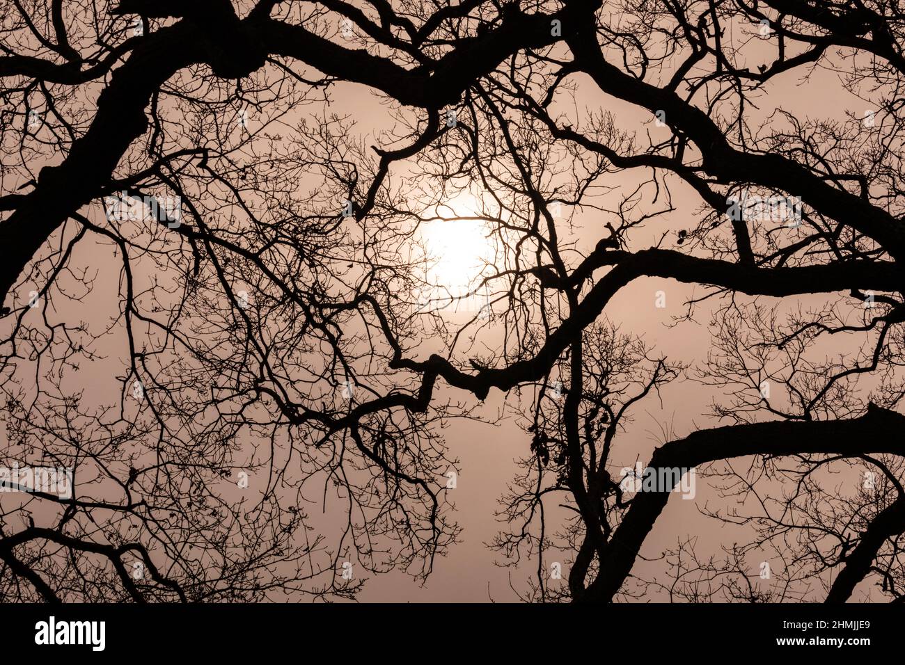 Surrey, UK, 10th Feb 2022. Hazy sunshine breaks through the clouds on a ...