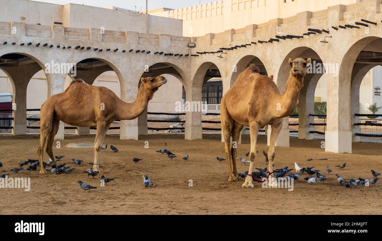 Traditional Arabian building built with wood and mud decorated with a ...