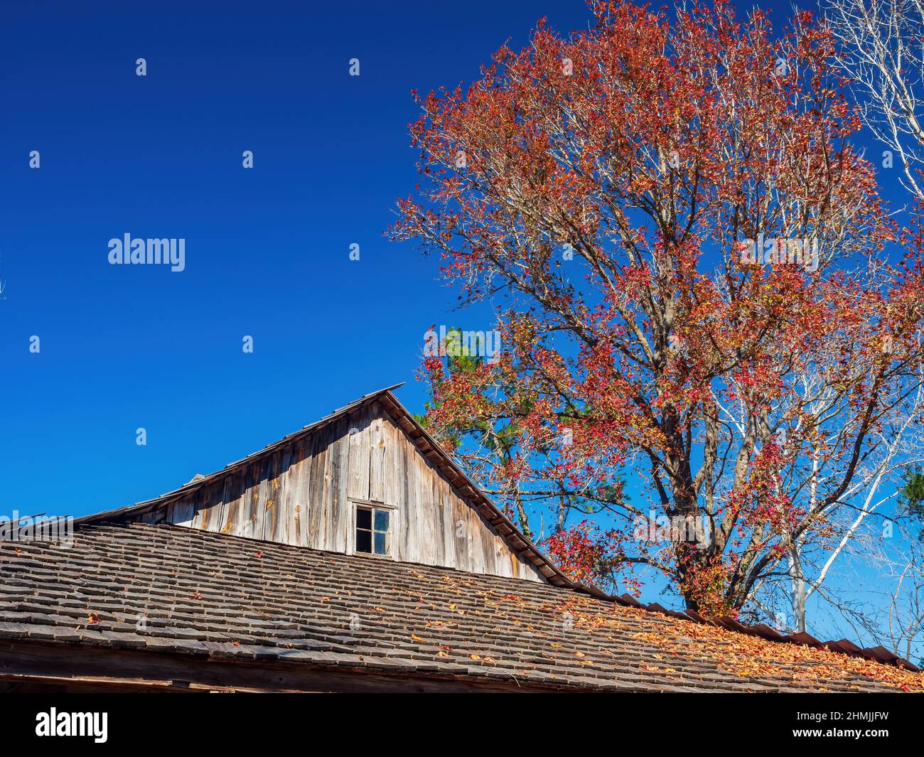 Beautiful log cabin along the Texas Native Trail at Texas Stock Photo ...