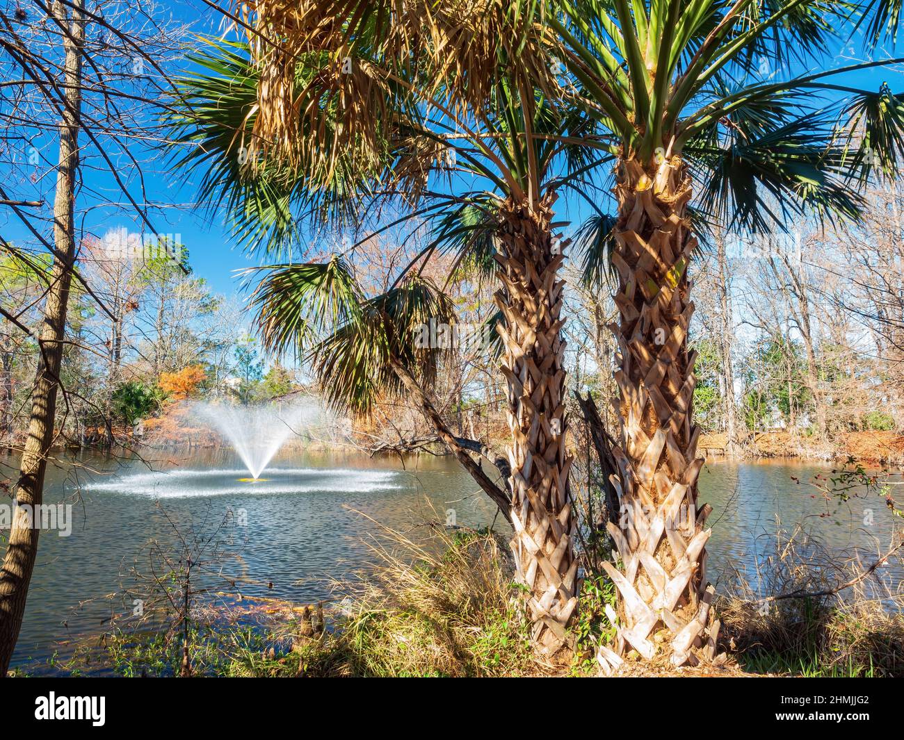 Beautiful landscape along the Texas Native Trail at Texas Stock Photo ...