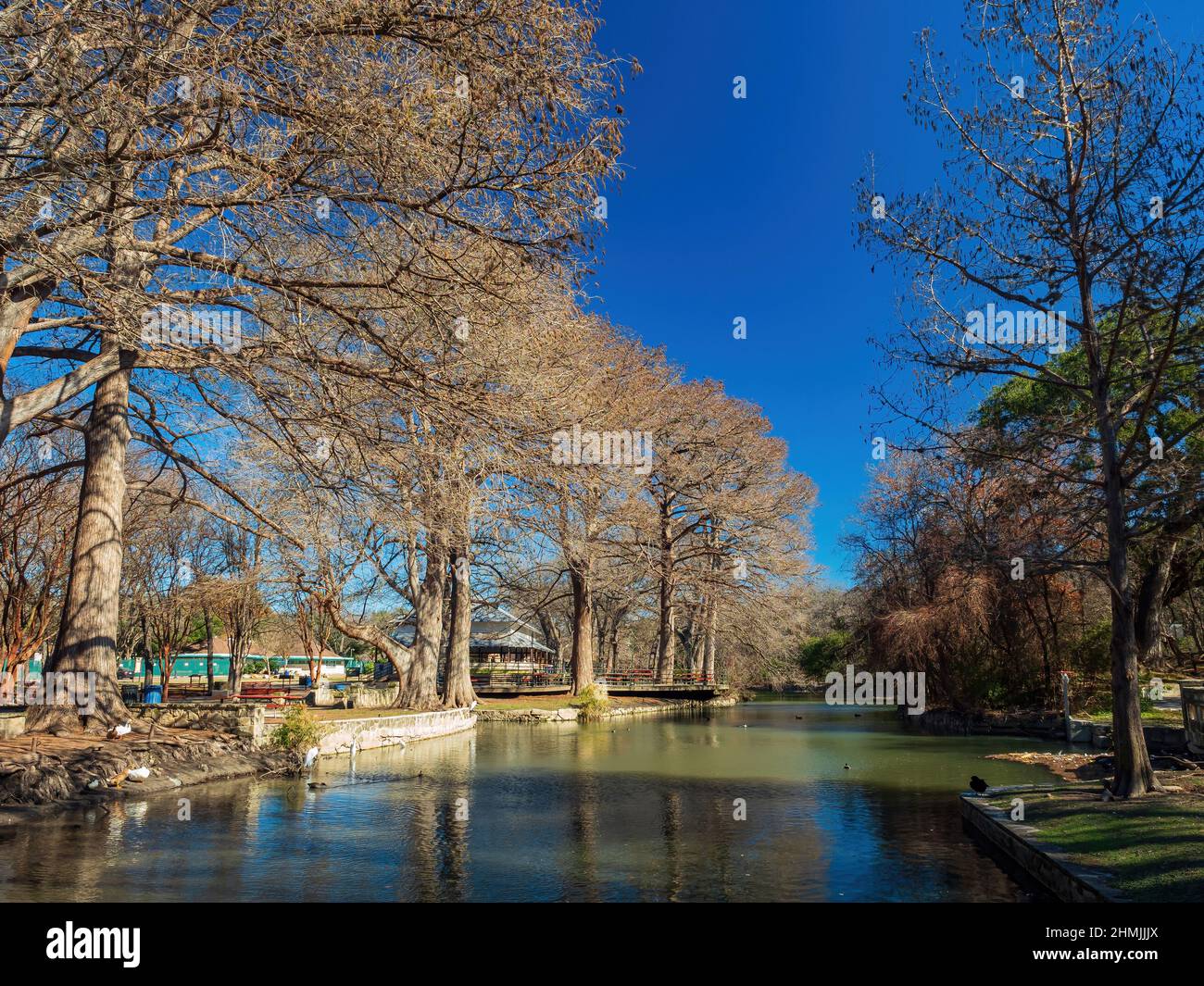 Brackenridge park hi-res stock photography and images - Alamy