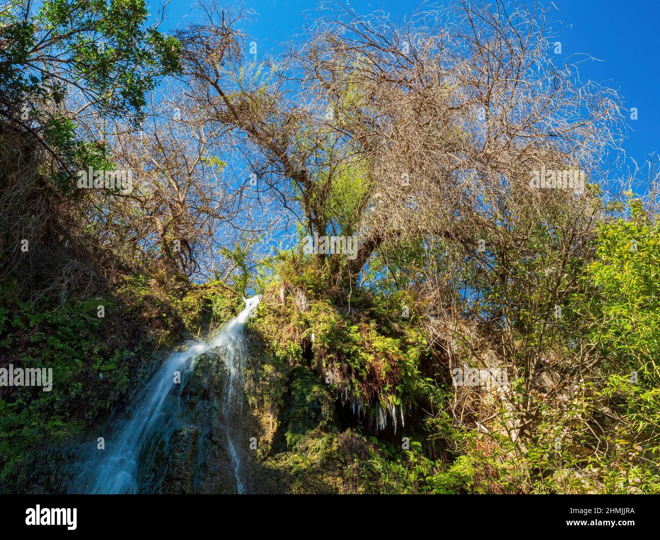 Sunny view of the waterfall in Japanese Tea Garden at Texas Stock Photo ...
