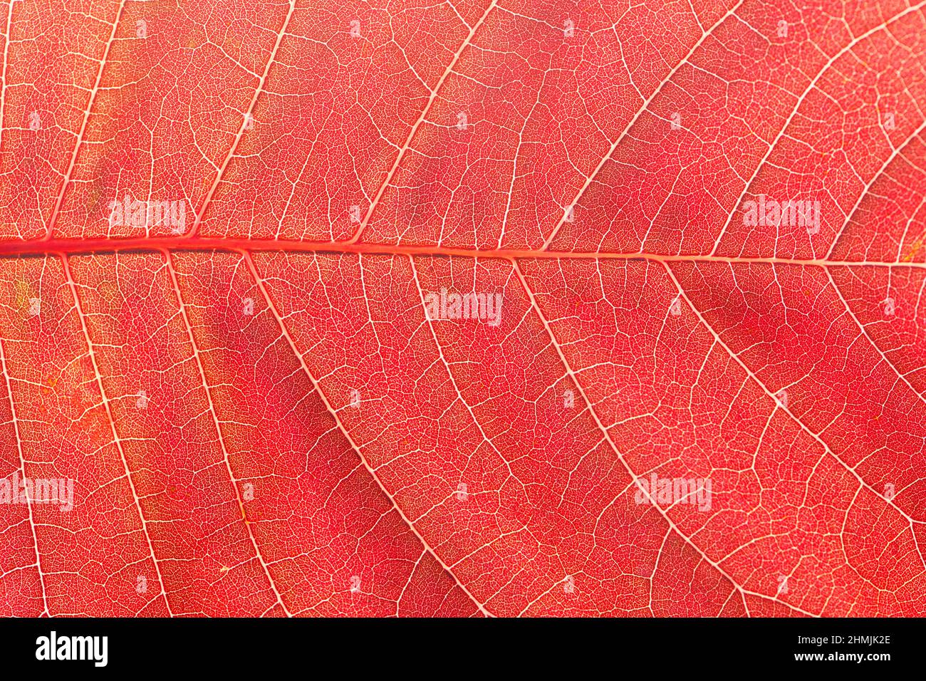 Abstract calendar by seasons hi-res stock photography and images - Alamy