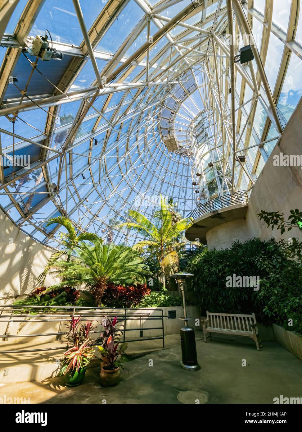 Interior view of landscape in green house of San Antonio Botanical ...