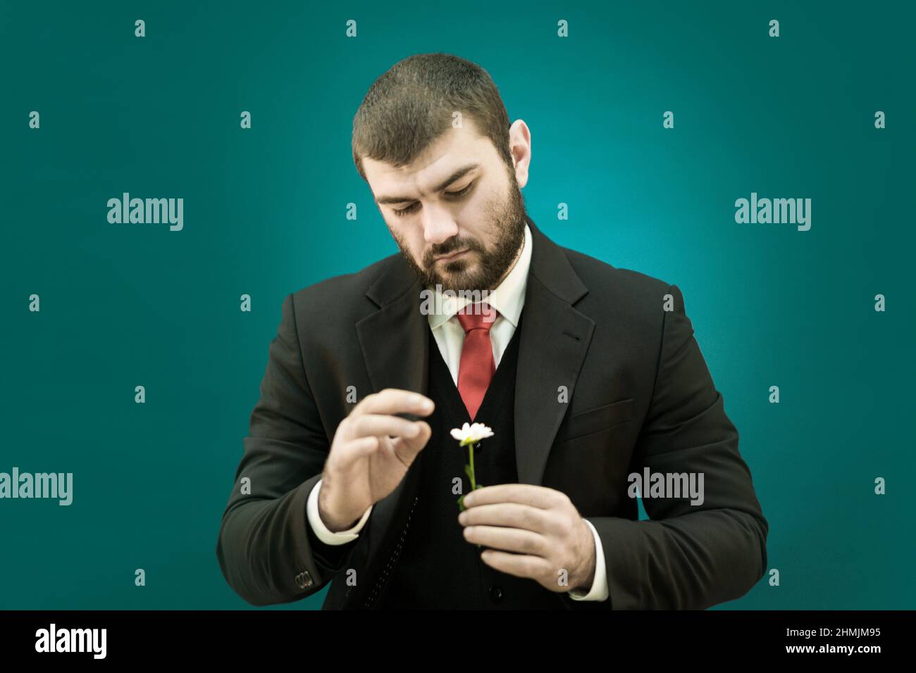 Romantic. Fortune telling on a flower. A brutal handsome man in a suit ...