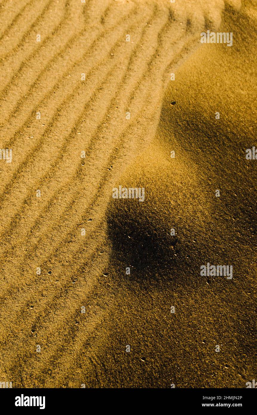 Yellow sand desert dunes.Drought, arid climate.Martian surface.Close up ...