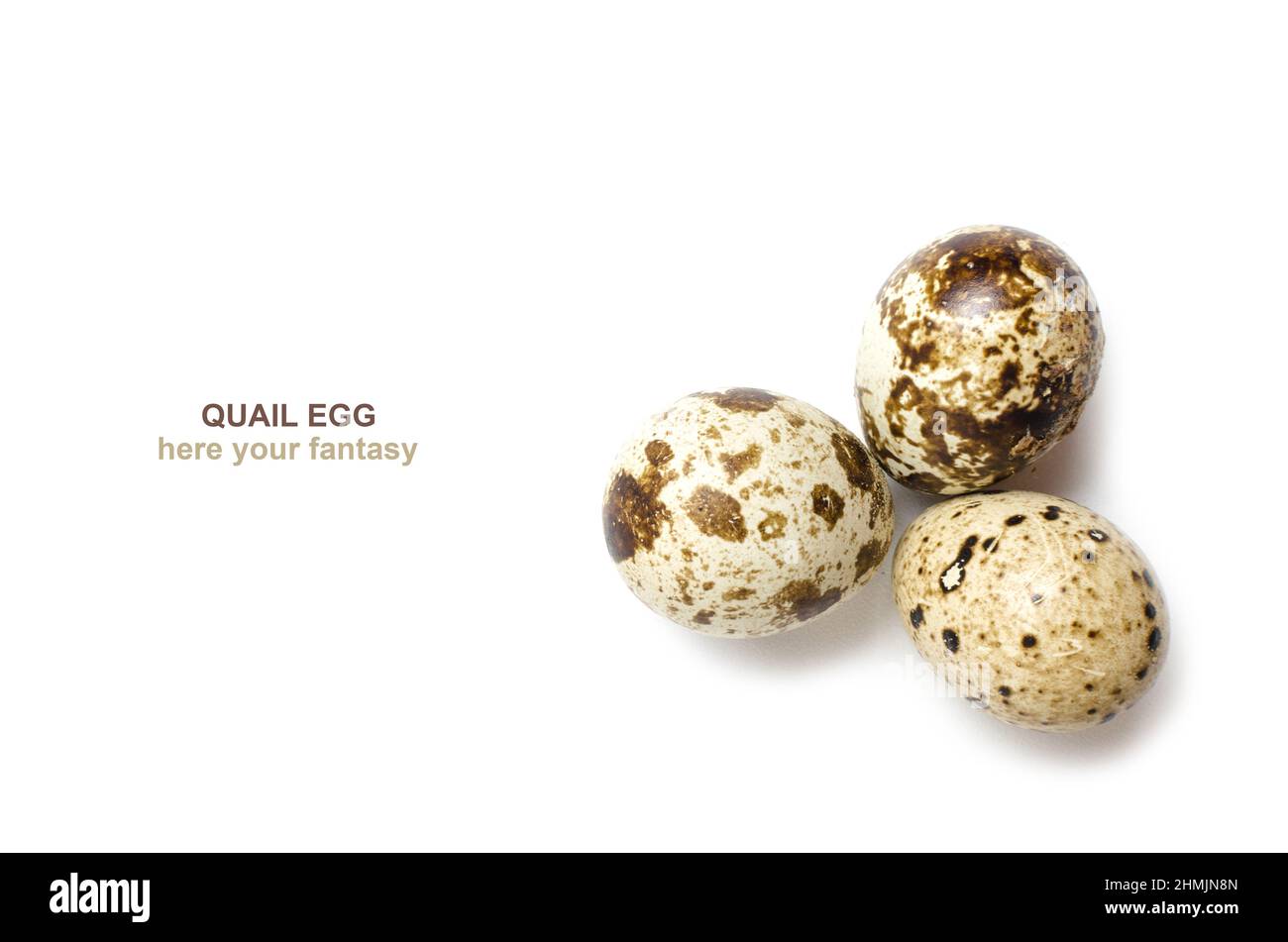 Quail eggs on white background, with space for text.Close up Stock ...