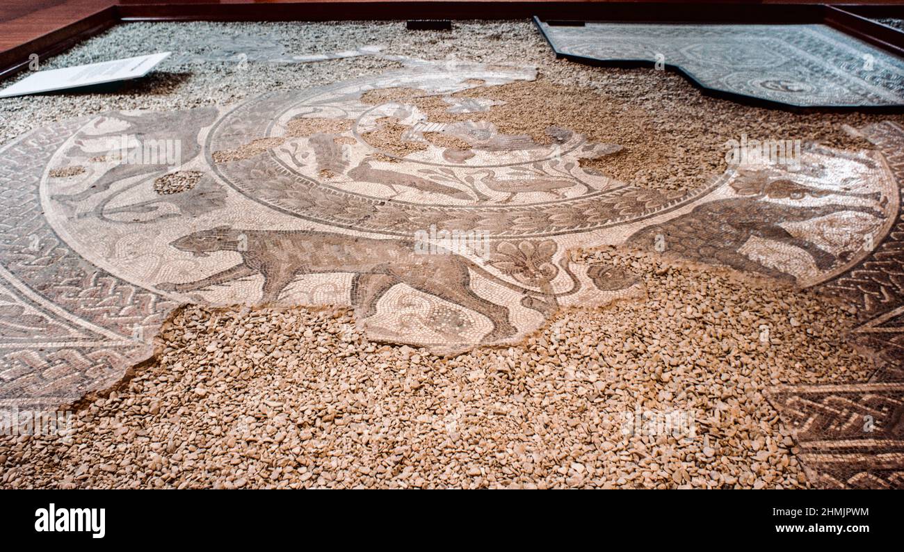 Roman mosaic corinium museum hi-res stock photography and images - Alamy