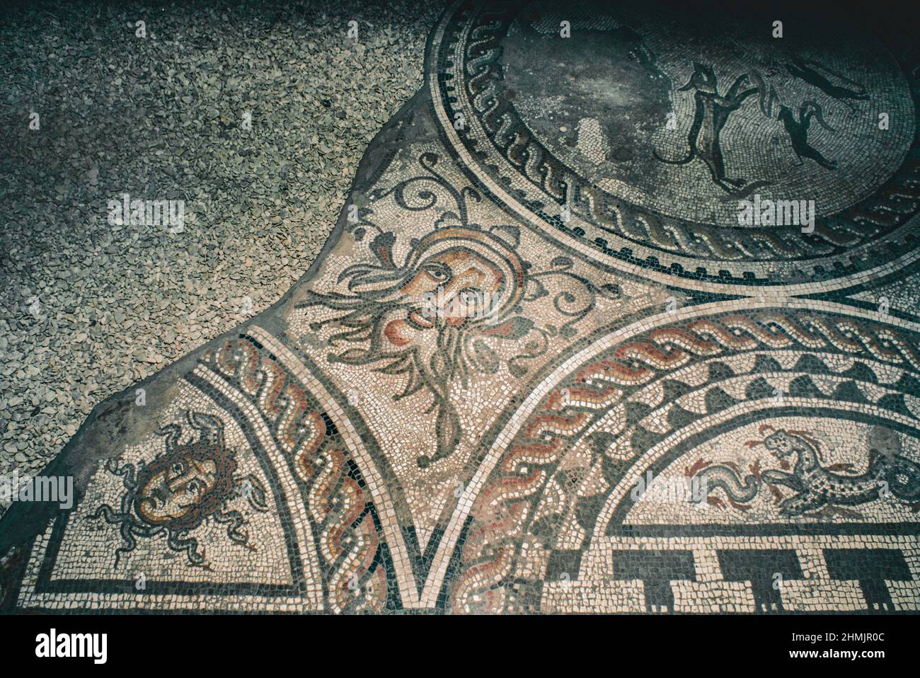 Roman mosaic corinium museum hi-res stock photography and images - Alamy