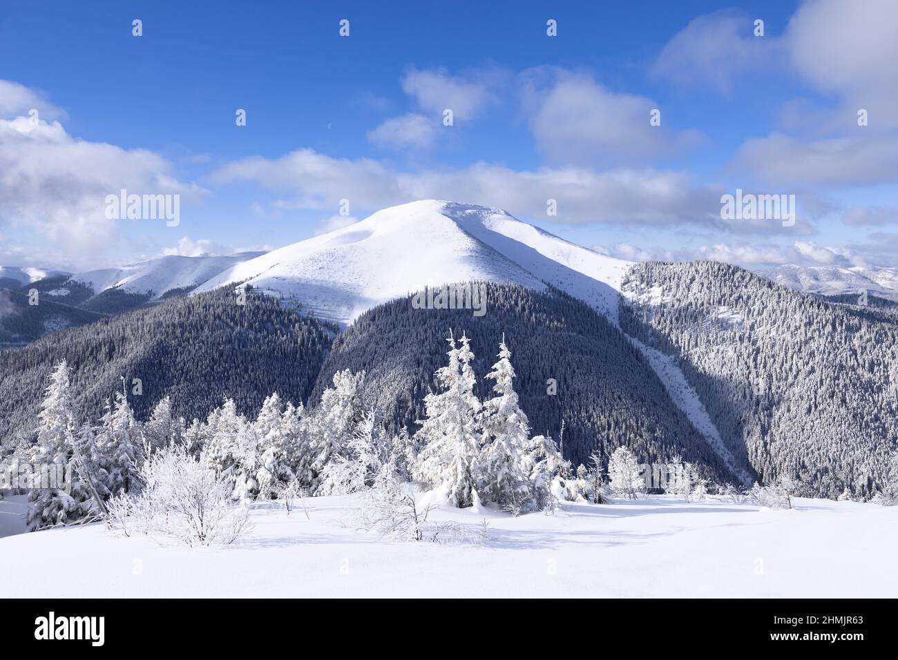 Nature winter landscape. On the lawn covered with snow there is a ...