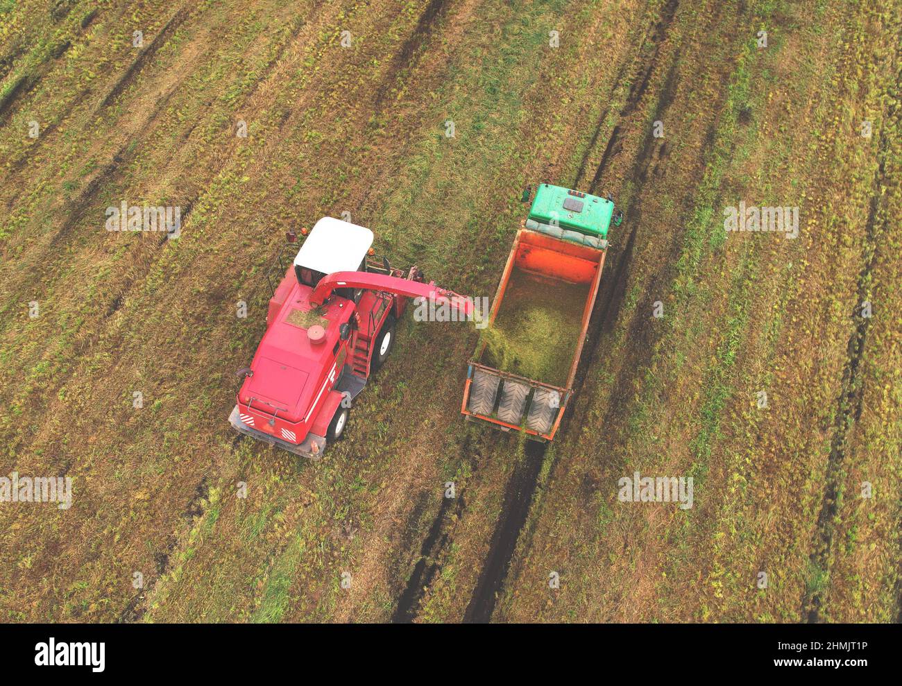 Silage making plants hi-res stock photography and images - Alamy