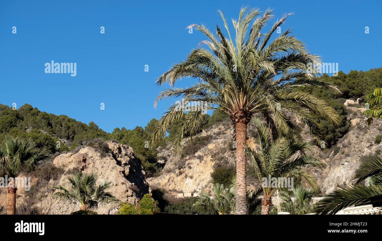 Fonts Algar waterfalls,Benidorm,Spain Stock Photo - Alamy
