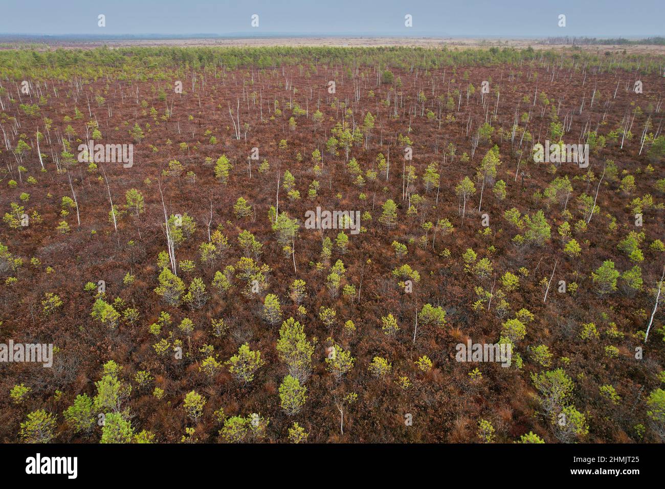 Swamp gases hi-res stock photography and images - Alamy