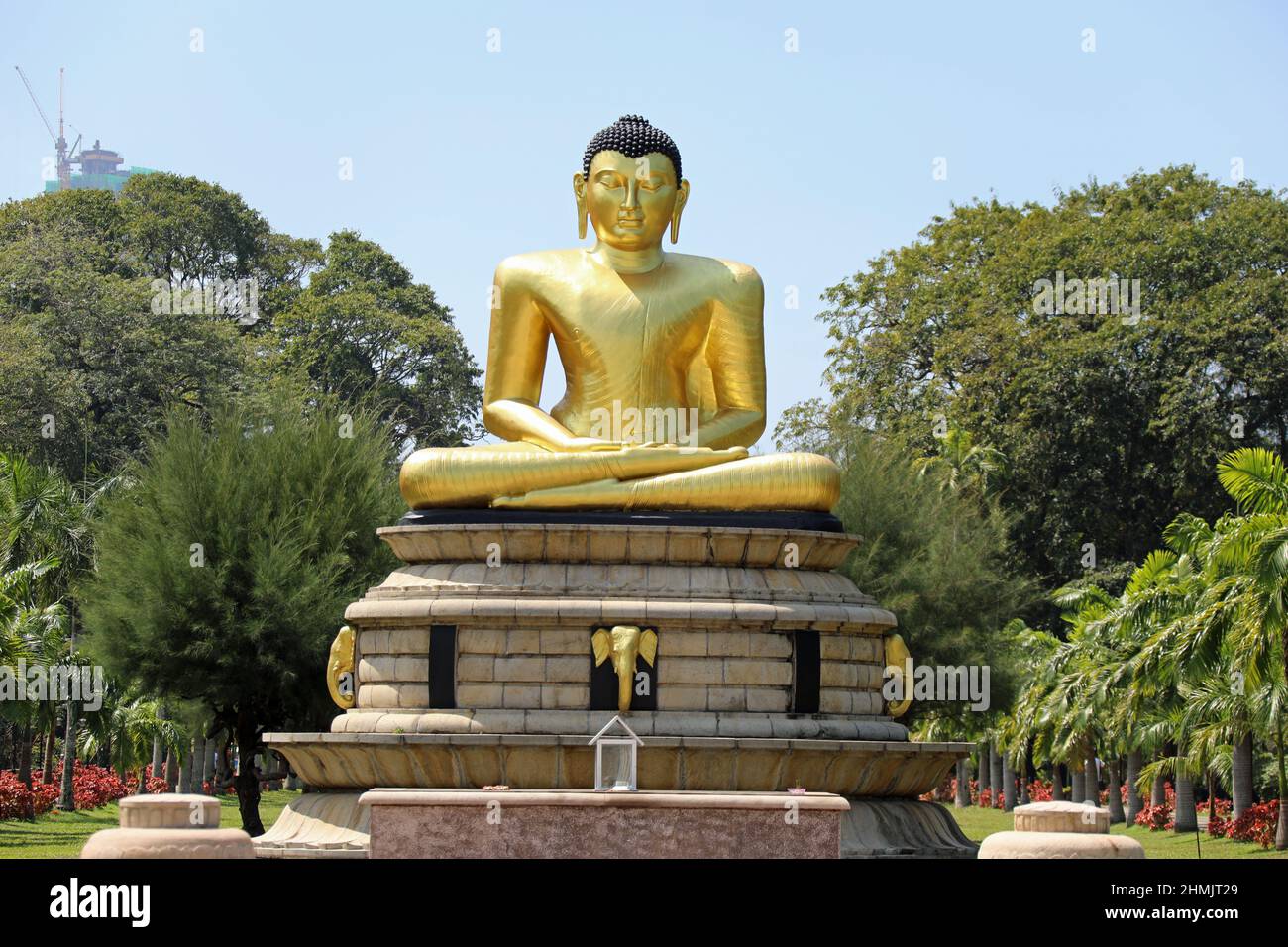 Golden Buddha statue at Cinnamon Gardens in Colombo Stock Photo - Alamy