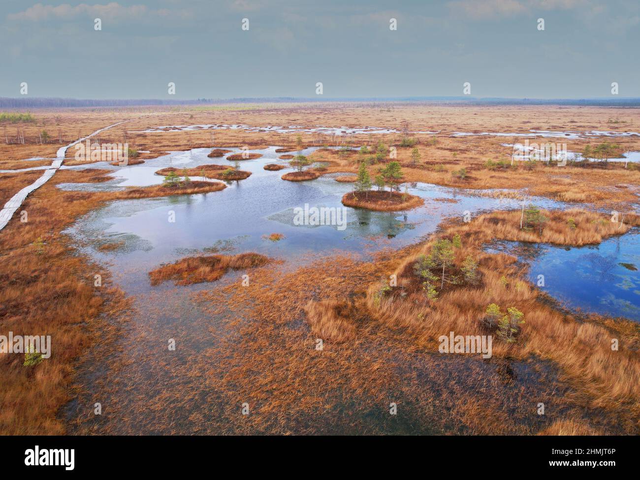 Swamp gases hi-res stock photography and images - Alamy