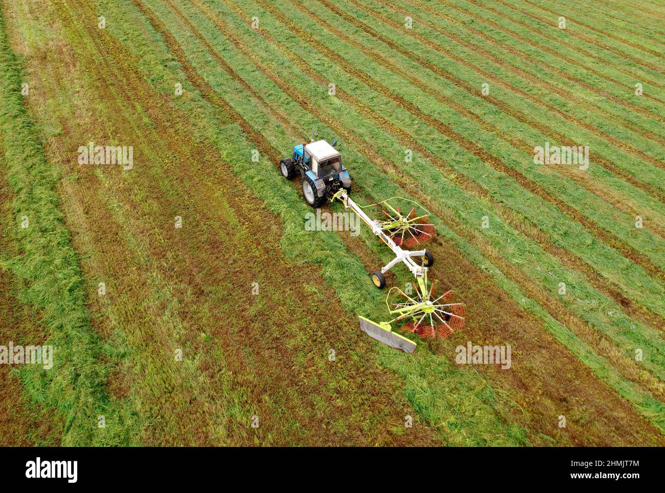 Tractor raking grass for silage harvesting. Agriculture farm machinery ...