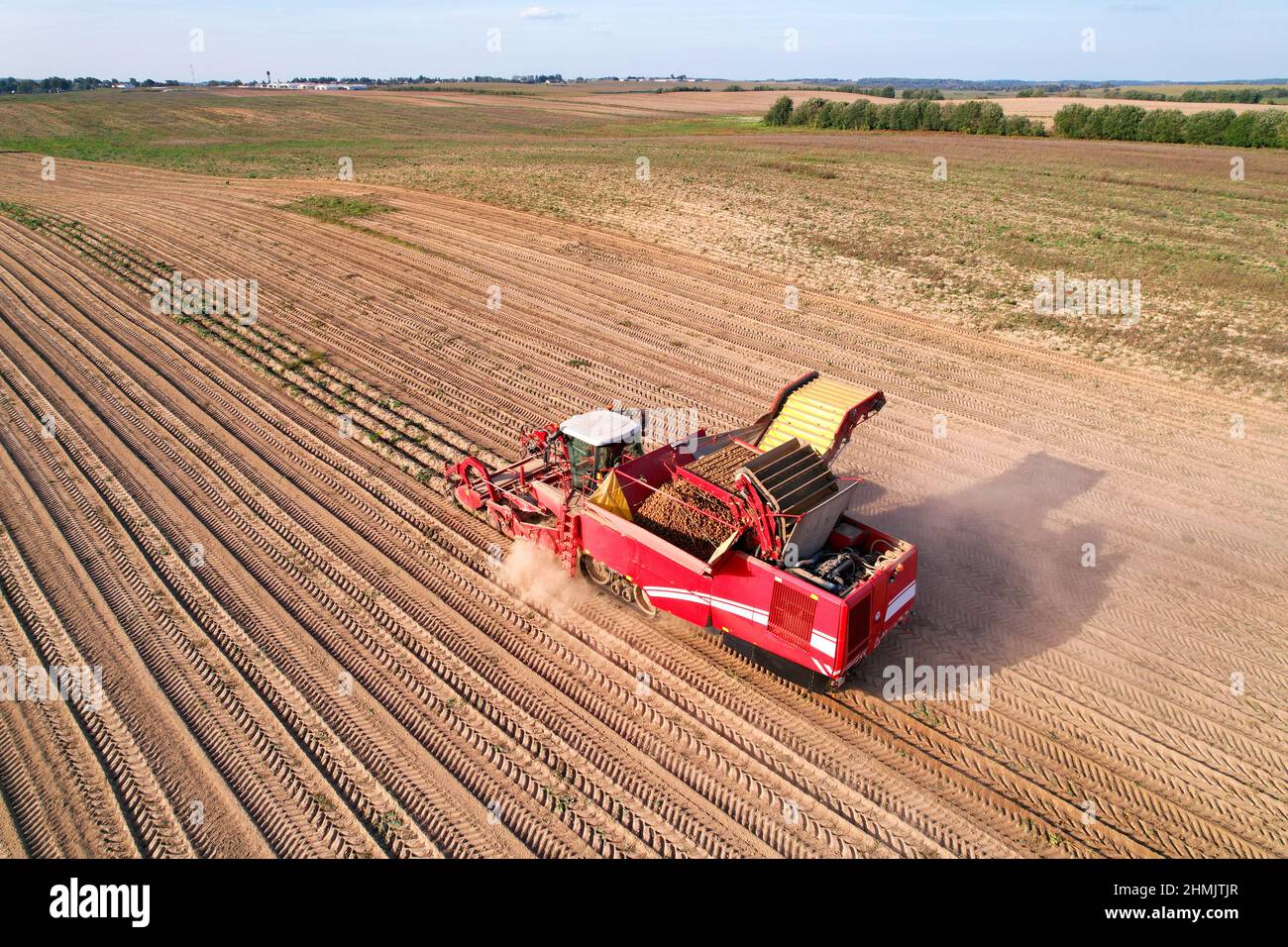 Potato Harvester at Seasonal harvesting of potatoes from field ...