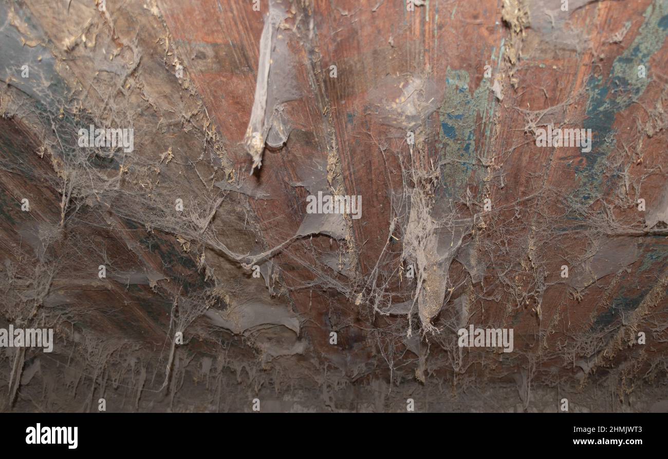 Ceiling cobweb hi-res stock photography and images - Alamy