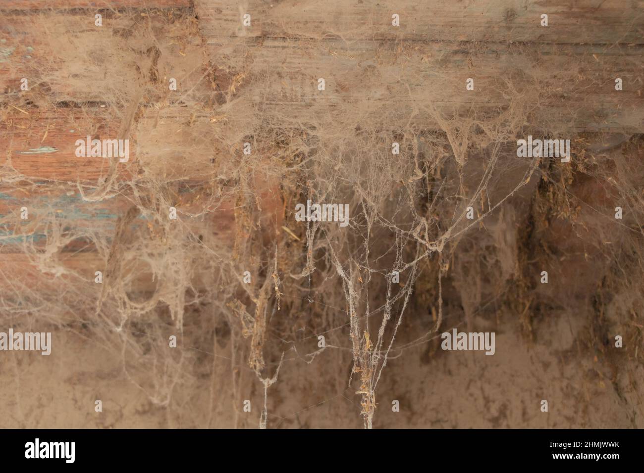 Ceiling cobweb hi-res stock photography and images - Alamy