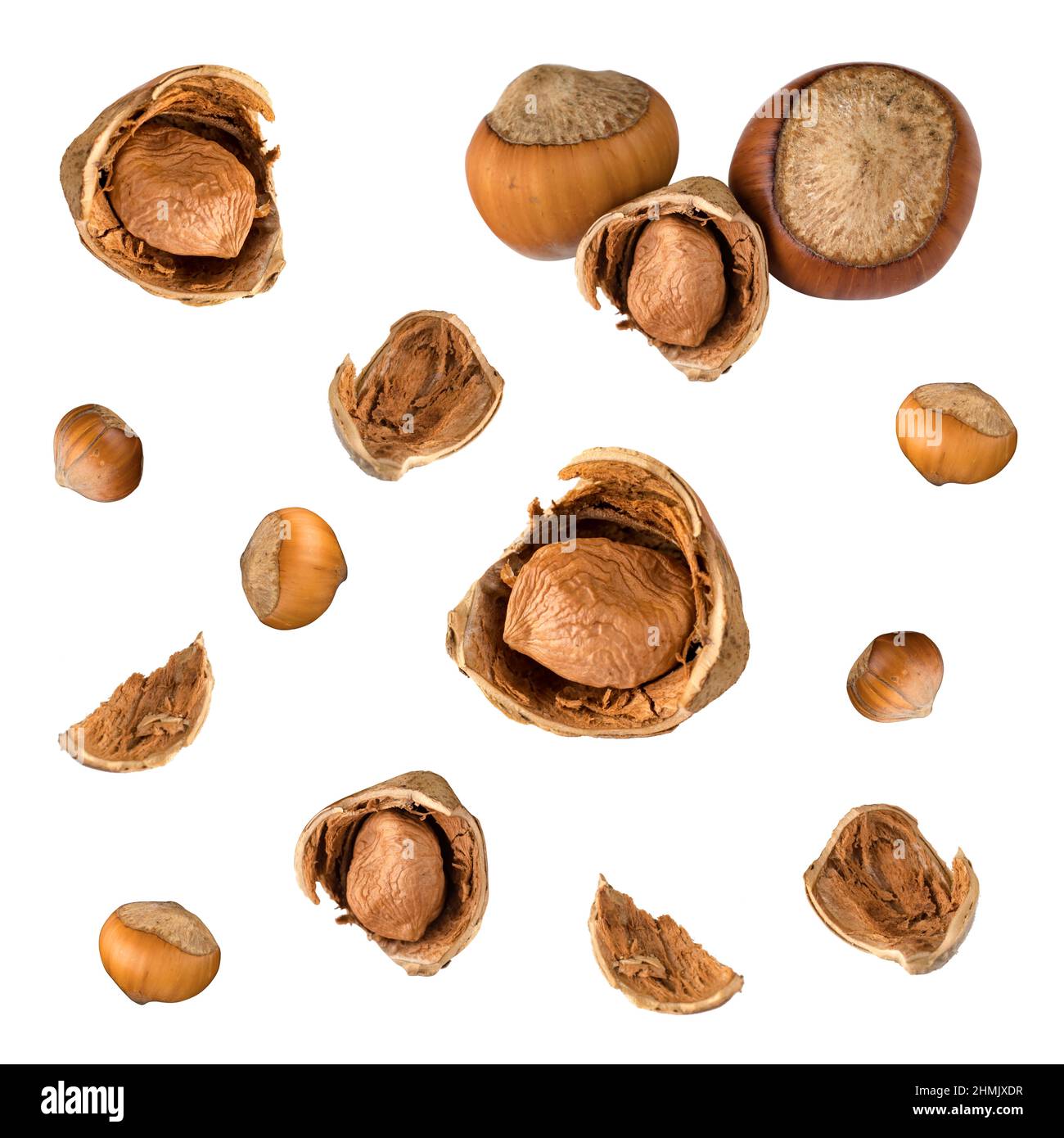 Hazelnut in shell hi-res stock photography and images - Alamy