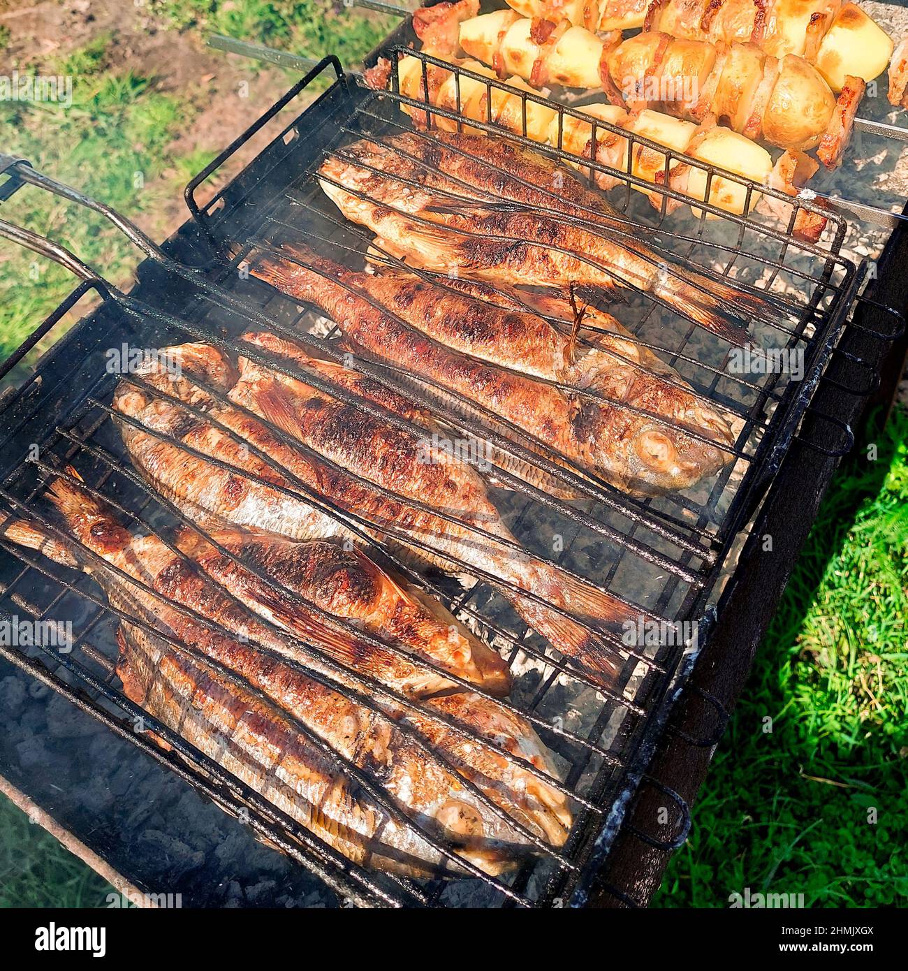 Grilled dorado fish and chiken on BBQ. close-up Stock Photo - Alamy
