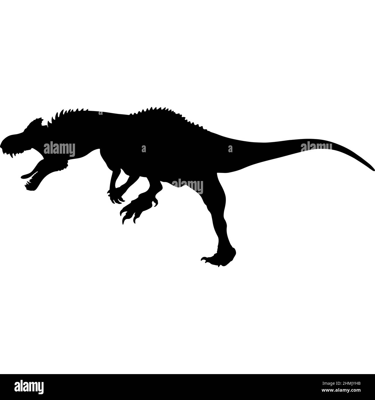 raptor silhouette black illustration for tattoo Stock Photo - Alamy