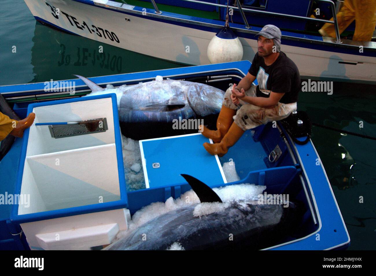 (2/7/2022) The Canary Islands begin fishing for bluefin tuna. 249 ...