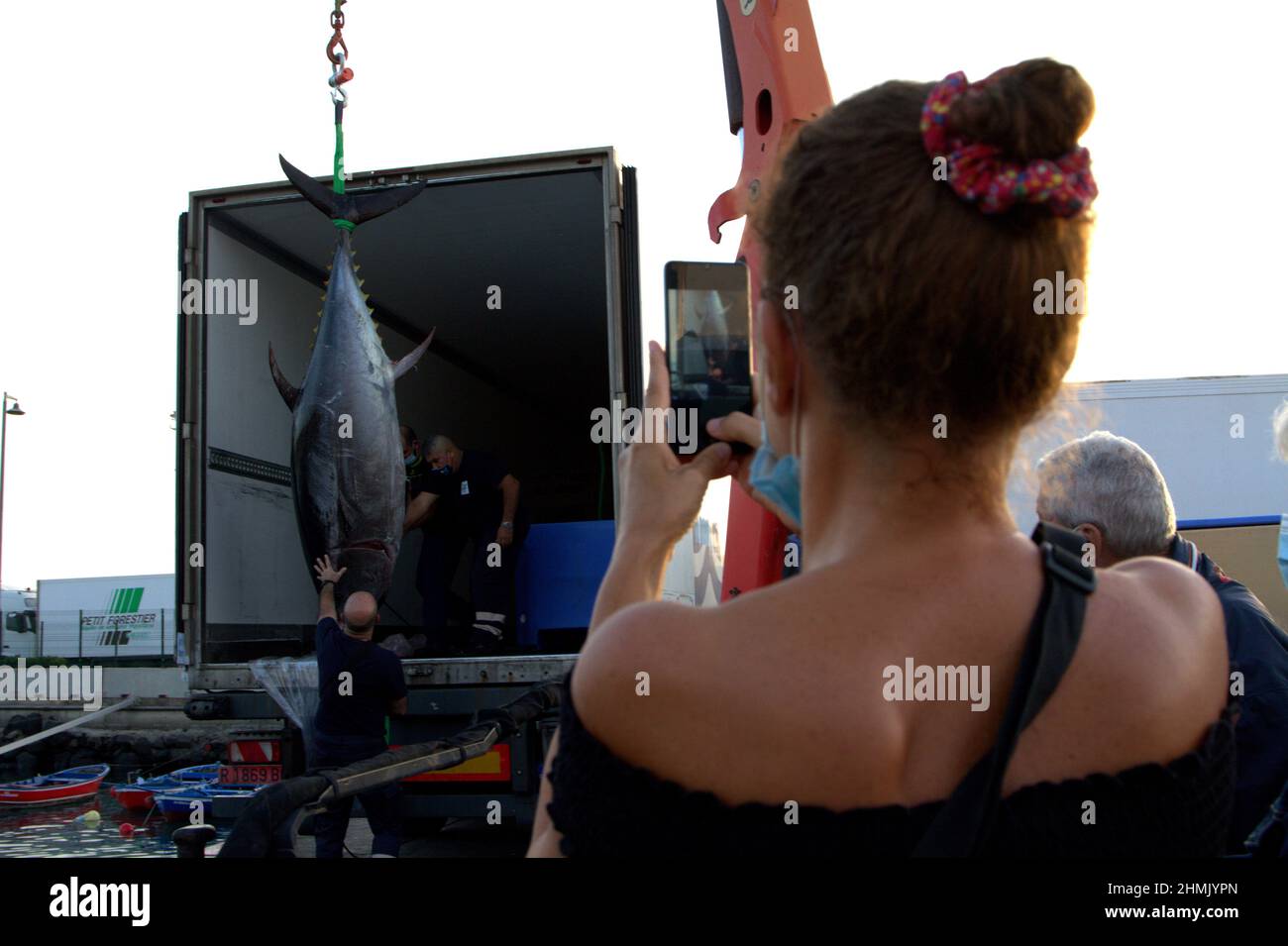 (2/7/2022) The Canary Islands begin fishing for bluefin tuna. 249 ...