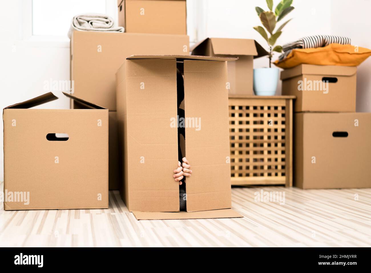Excited little boy hiding inside a huge cardboard box. He is playing ...