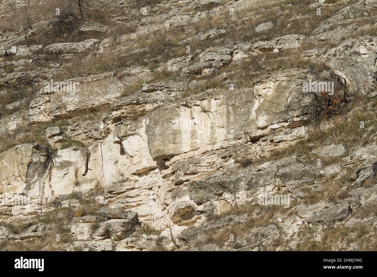 Close up of grey rock. Whole background Stock Photo - Alamy