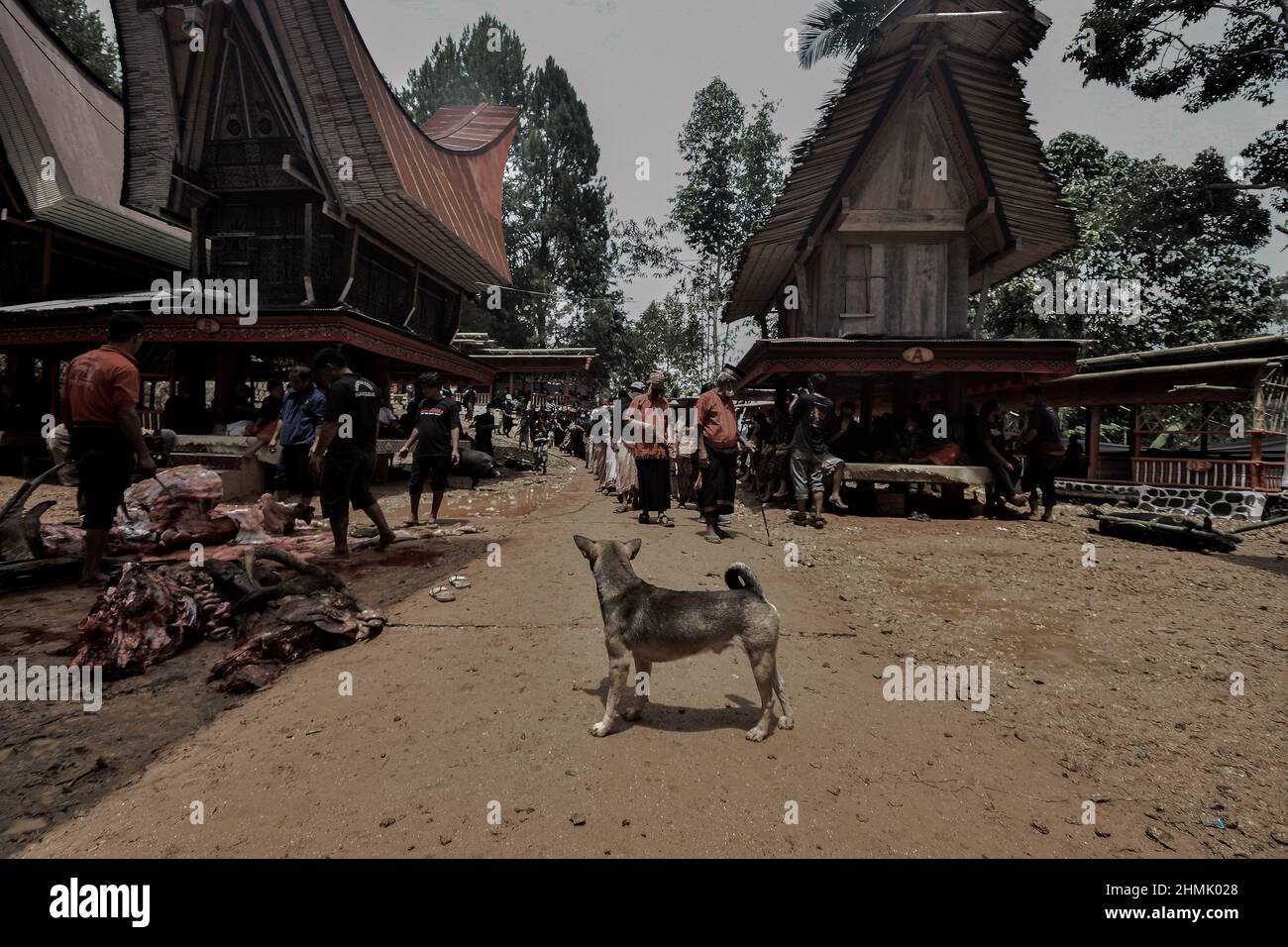 Toraja, Indonesia. 08th Feb, 2022. Indigenous people in Toraja, South ...