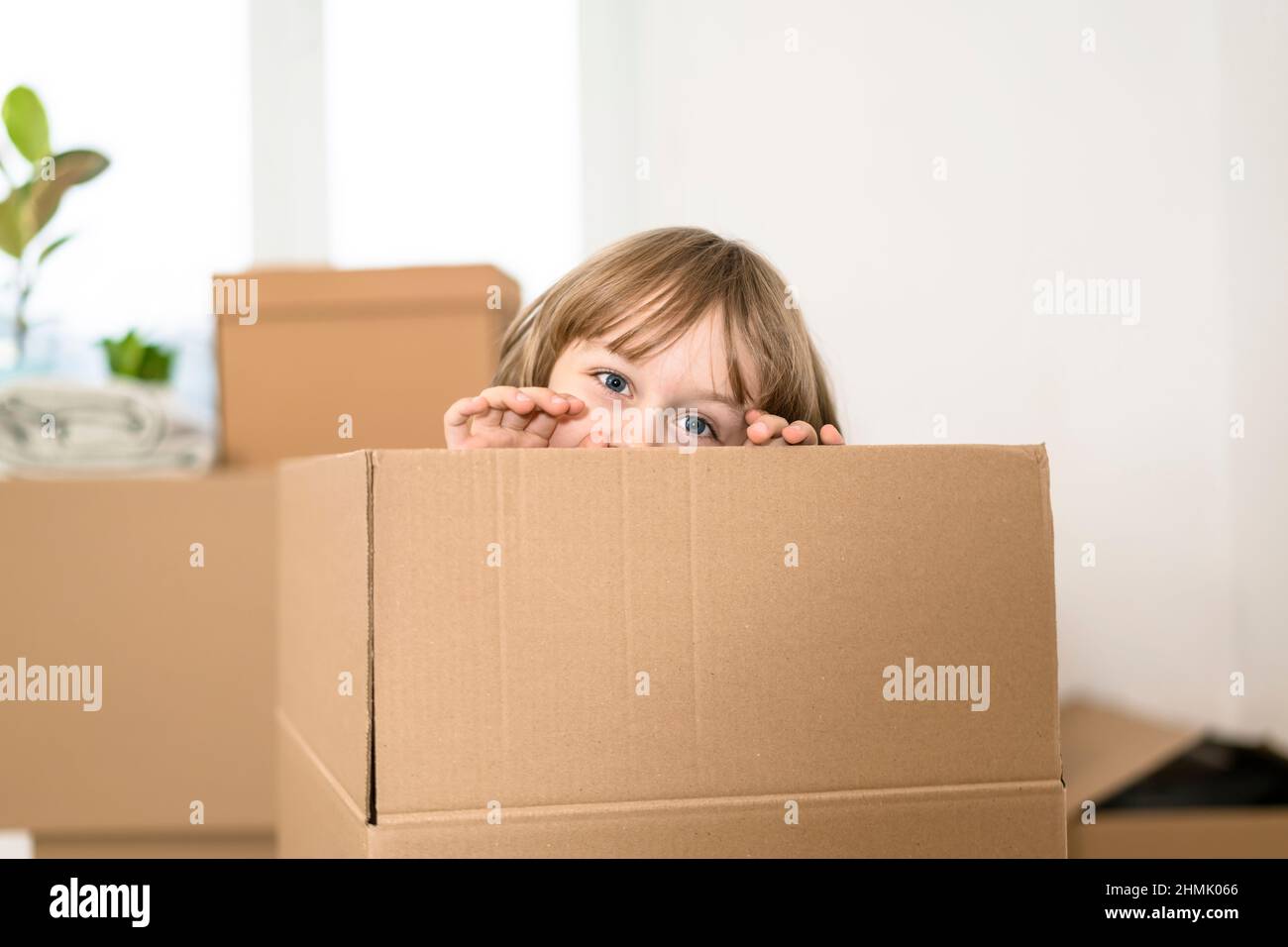 Excited little boy jumping inside a huge cardboard box. He is playing ...
