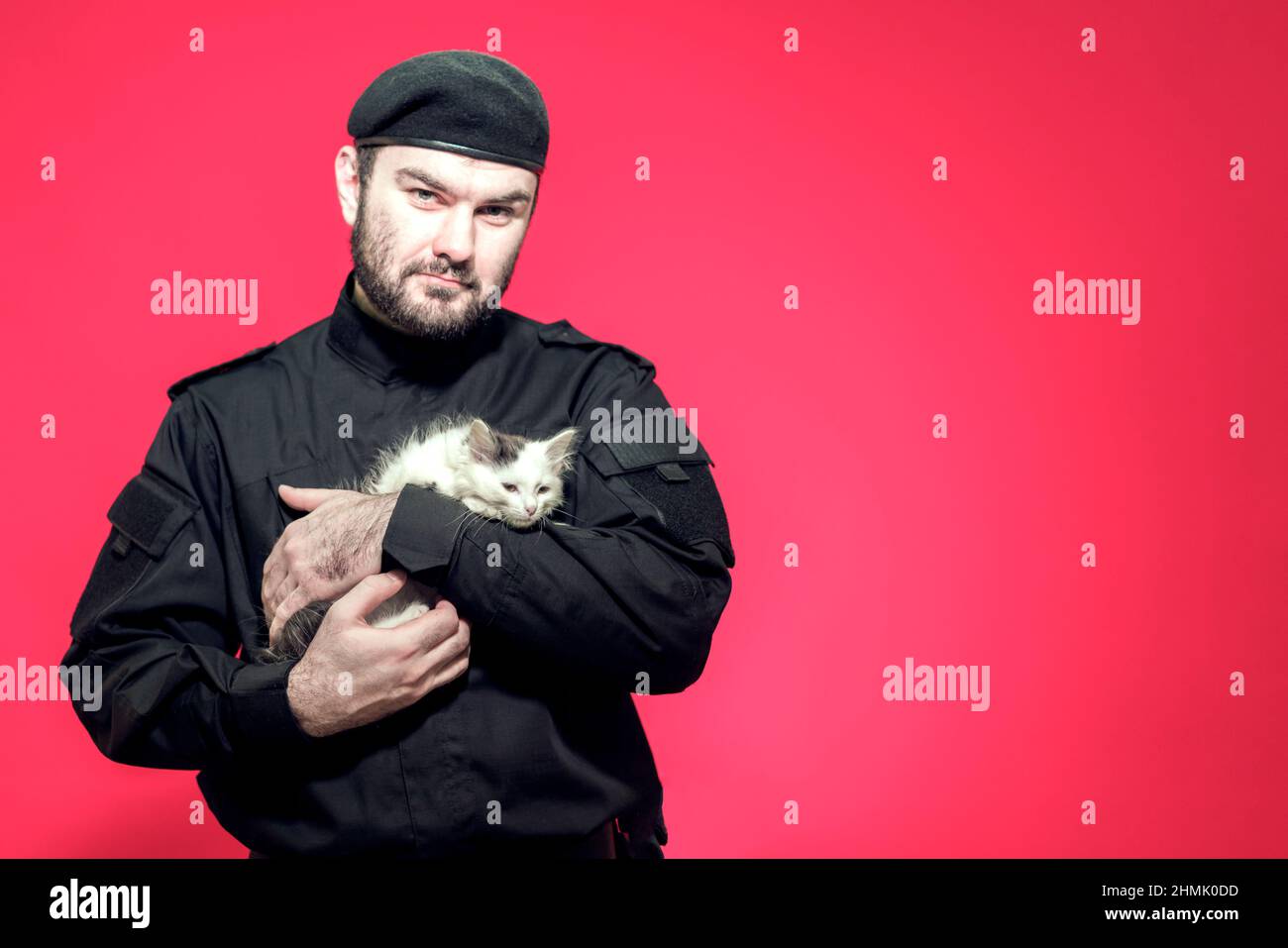 Bodyguard cat hi-res stock photography and images - Alamy