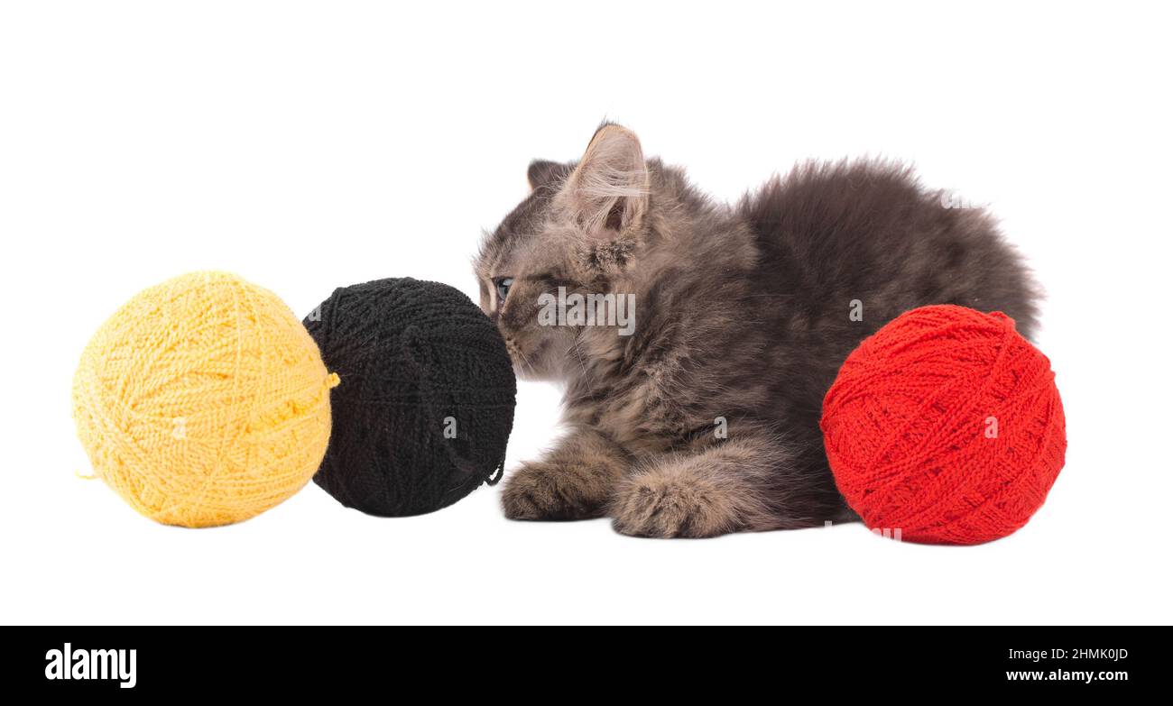 Little kitten with colorful balls of wool. Isolated on a white ...