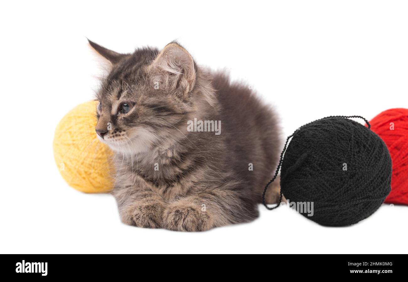 Little kitten with ball of wool. Isolated on a white background Stock ...