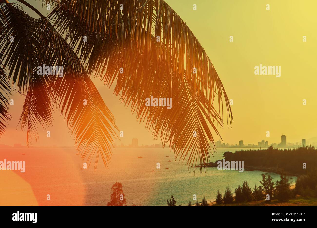 Southeast palm tree hi-res stock photography and images - Alamy