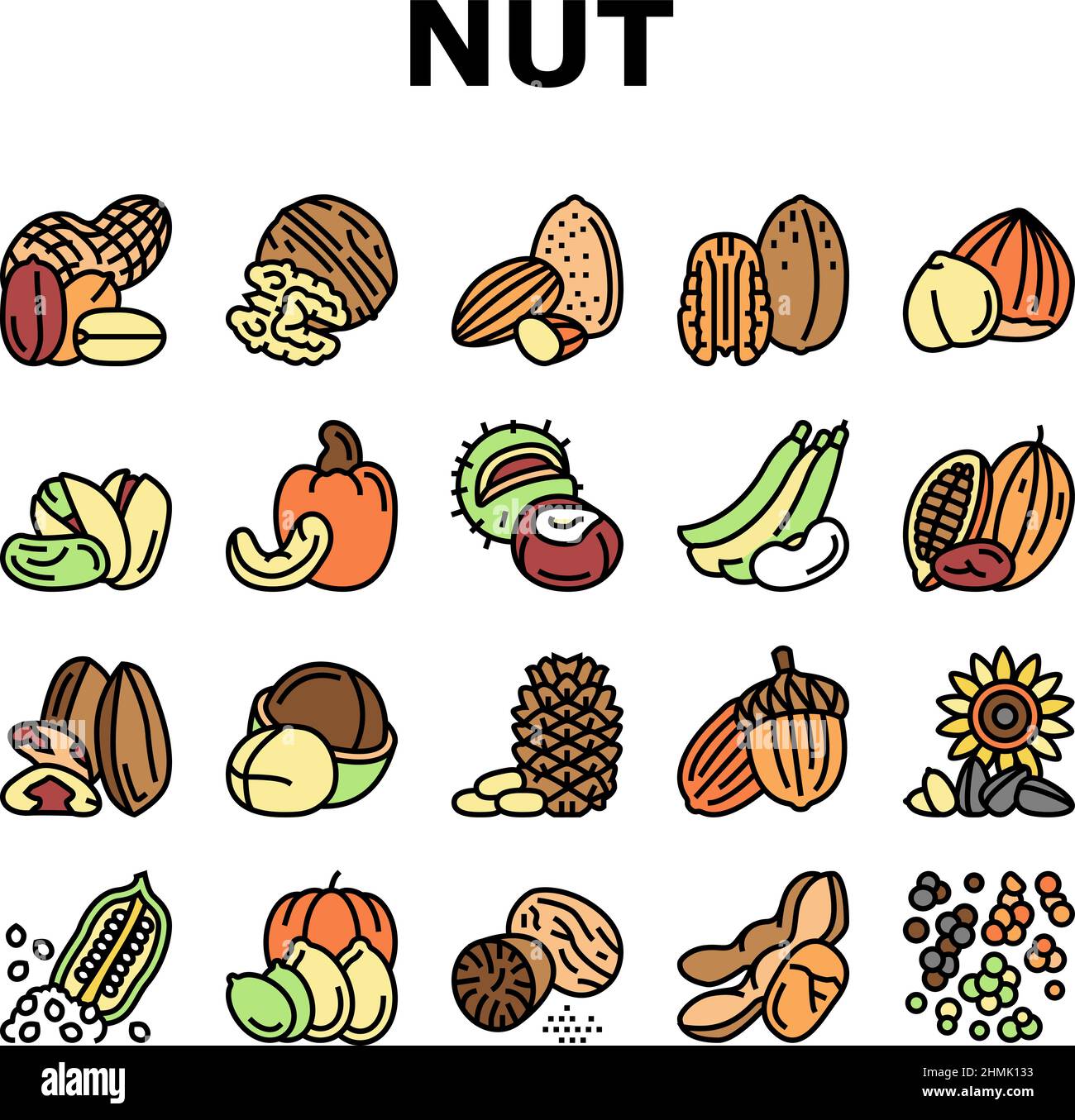Nut Delicious Natural Nutrition Icons Set Vector Stock Vector Image ...