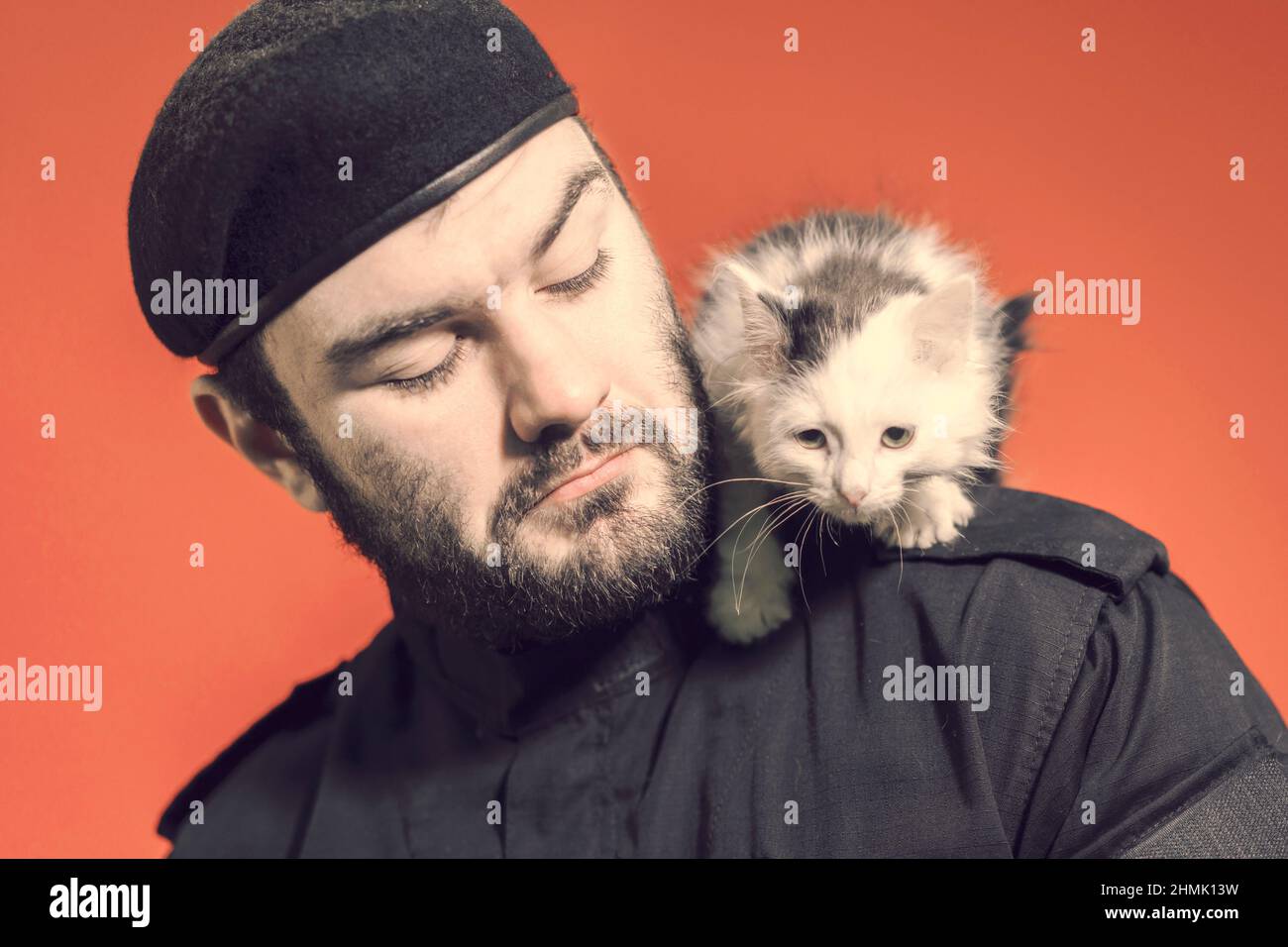 Bodyguard cat hi-res stock photography and images - Alamy