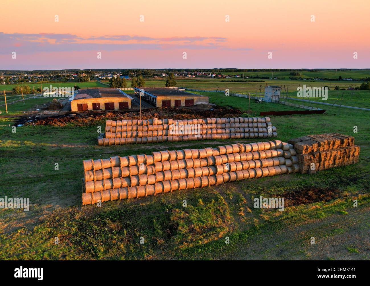 Hay storage in field near farm. Haystacks prepared for animal feed in ...