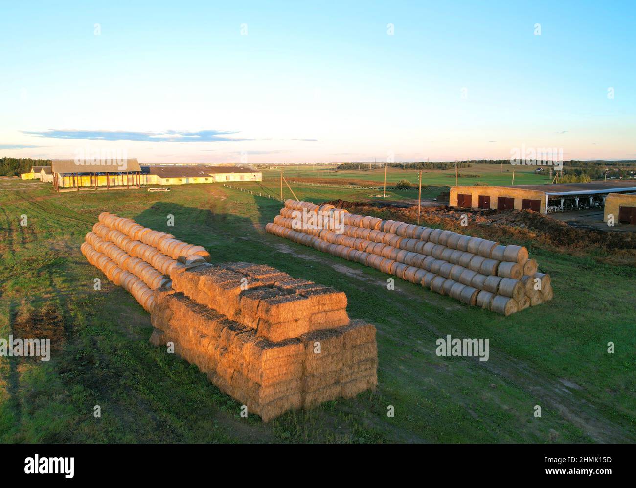 Hay storage in field near farm. Haystacks prepared for animal feed in ...