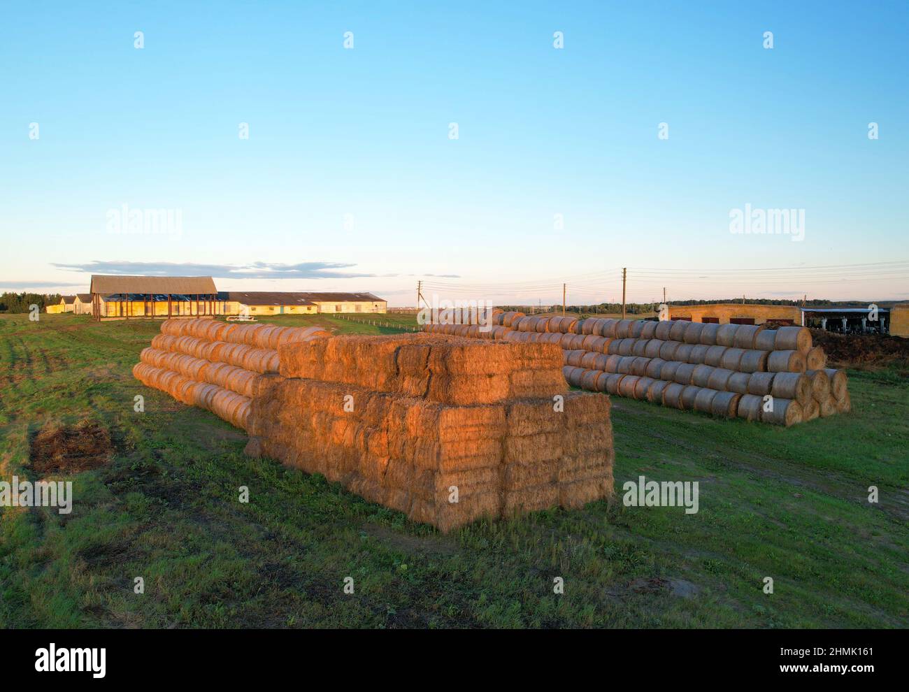 Hay storage in field near farm. Haystacks prepared for animal feed in ...
