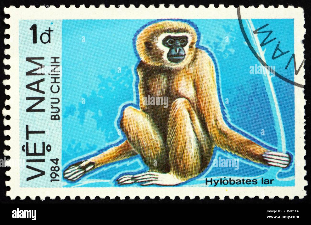 VIETNAM - CIRCA 1984: a stamp printed in Vietnam shows white-handed ...
