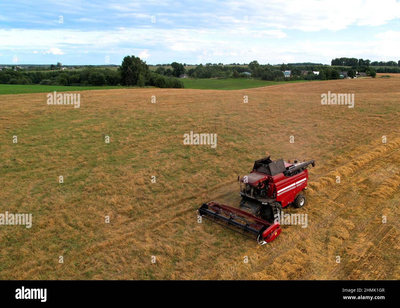 Combine harvester on harvesting oilseed rape in field. Aerial view of ...