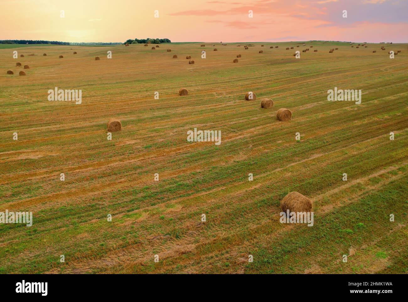 Sunset silage harvesting hi-res stock photography and images - Alamy